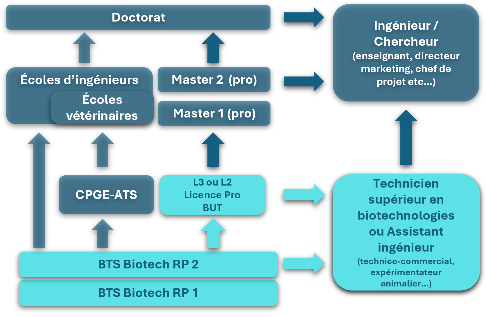 Présentation du BTS Biotechnologie en Recherche et Production - Lycée de la Vallée de Chevreuse